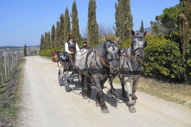 Carriage ride and Lunch in a typical restaurant in the heart of Chianti - Discover the Charm of a Carriage Ride and Tuscan Lunch in Chianti