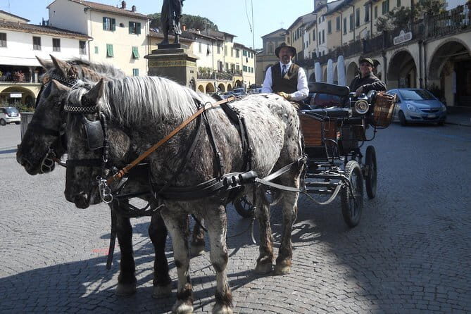 Carriage ride and Lunch in a typical restaurant in the heart of Chianti - Authenticity and Authentic Experiences