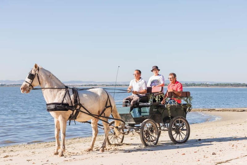 CARRIAGE Ride On The Beach (Rosário Beach) - Key Points