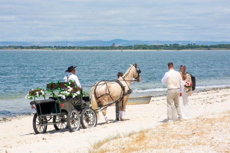 CARRIAGE Ride On The Beach (Rosário Beach) - Is It Worth the Price?