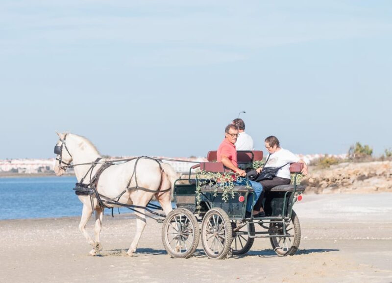 CARRIAGE Ride On The Beach (Rosário Beach) - Who Will Love This?