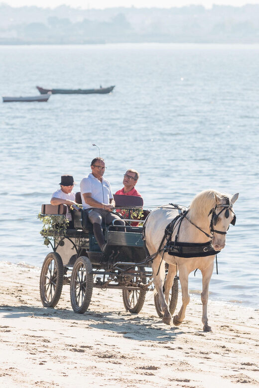 CARRIAGE Ride On The Beach (Rosário Beach) - The Sum Up
