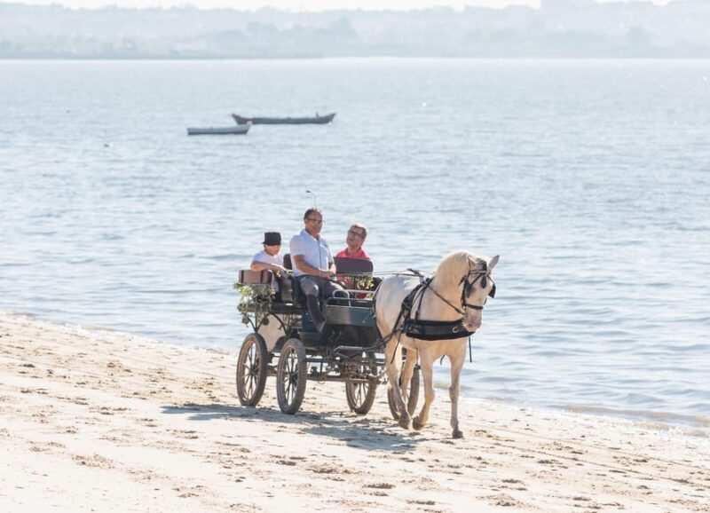 CARRIAGE Ride On The Beach (Rosário Beach) - FAQ