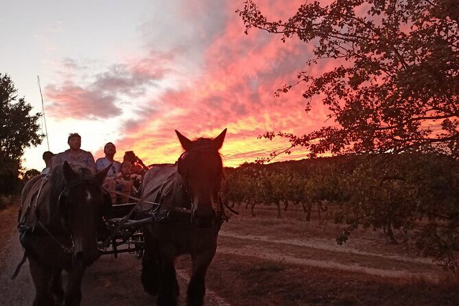 Carriage rides in the heart of the Luberon - FAQs
