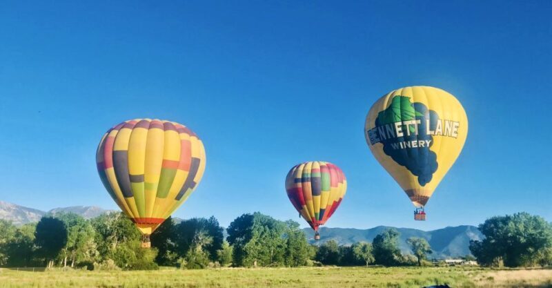 Carson City: Hot Air Balloon Flight - Practical Tips for Travelers