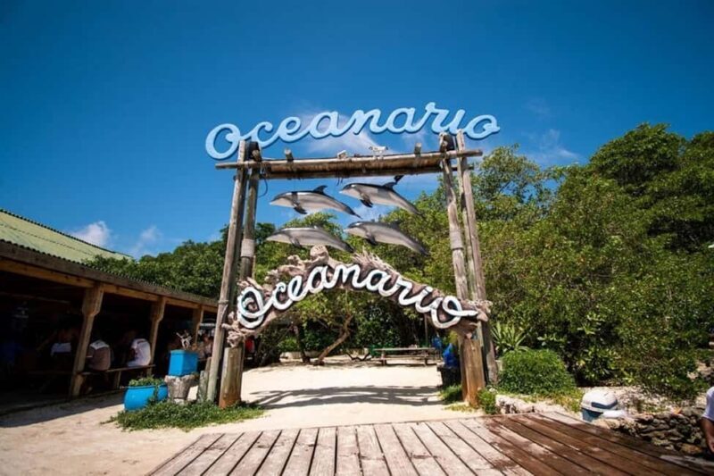 Cartagena: All-Inclusive Rosario Islands Speedboat Tour - An In-Depth Look at the Tour