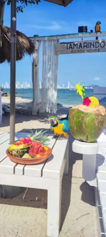 Cartagena: Beach House Tamarindo Tour - Who Is This Tour Best For?