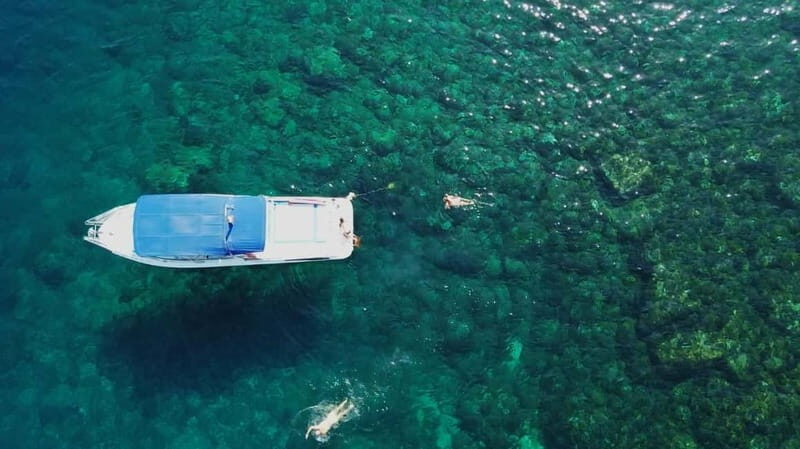 Cartagena: Cartagena Bay Swimming Route - Who Will Enjoy This Tour Most?