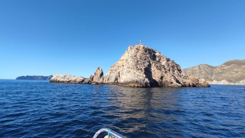 Cartagena: Guided tour by boat to the Isla de las Palomas - The Sum Up