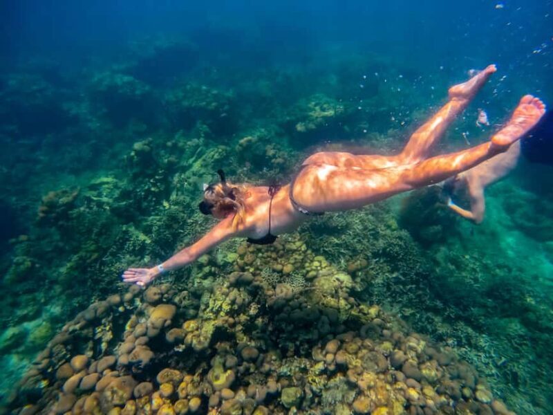 Cartagena: Rosario Islands Day Tour with Snorkel & Lunch - An Introduction to the Rosario Islands Tour