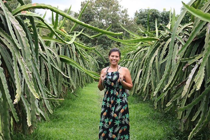 CASA Authentic Mekong Motorbike Tour - Who Should Consider This Tour?