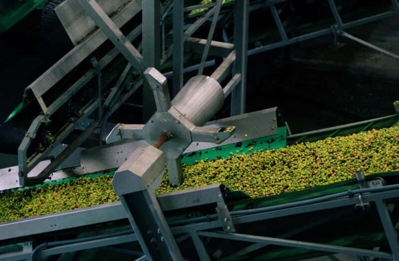 Casa Relvas, Vidigueira: Olive Harvest Campaign Program - Frequently Asked Questions