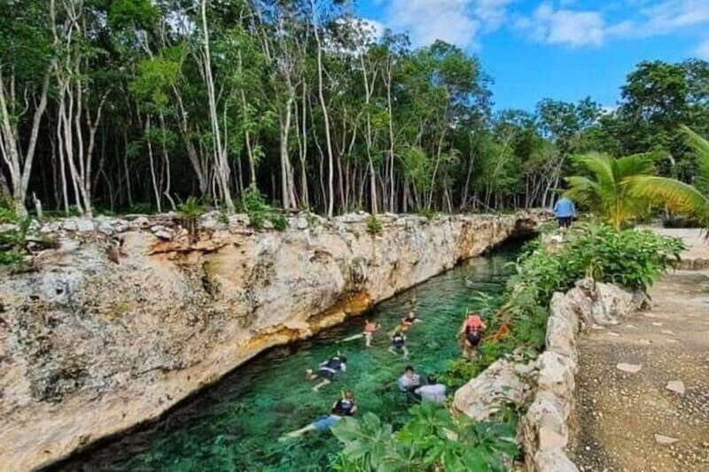 Casa Tortuga Park: Cenote Tour - An Introduction to the Experience