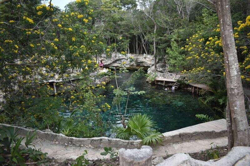 Casa Tortuga Park: Cenote Tour - Water Activities: Swimming and Snorkeling