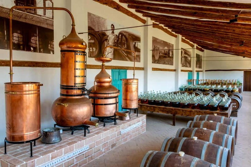 Casa Vermouth Padró: Vermouth tasting and guided visit in Bràfim (Tarragona) - Exploring the Historic Setting and Location
