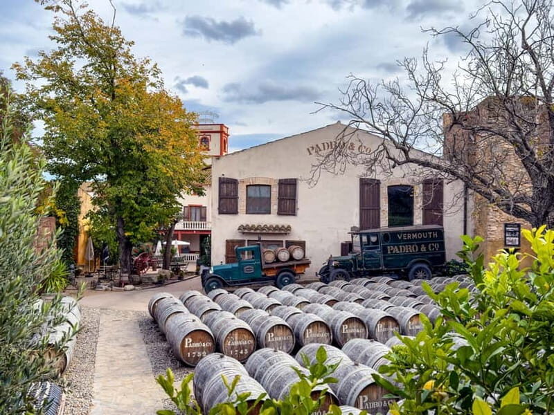 Casa Vermouth Padró: Vermouth tasting and guided visit in Bràfim (Tarragona) - The Vermouth Tasting: Flavors & Variety