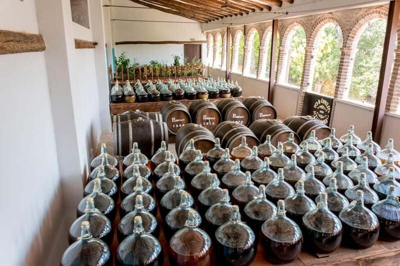 Casa Vermouth Padró: Vermouth tasting and guided visit in Bràfim (Tarragona) - Practical Details and Value