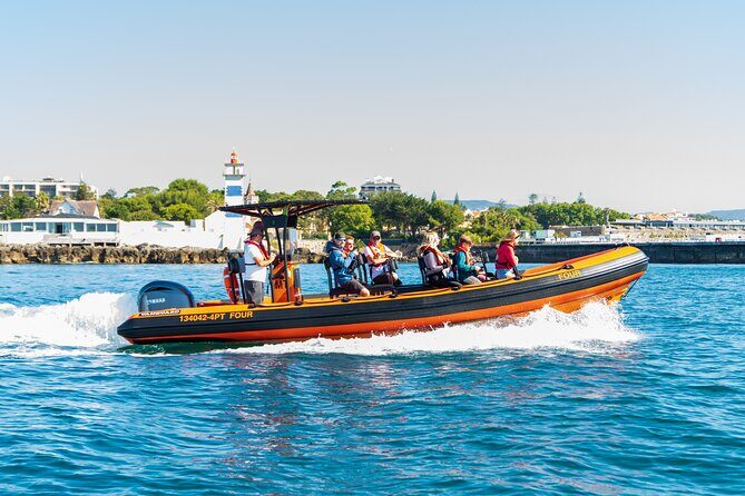 Cascais coast: Dolphin watching - Cascais Coast: Dolphin Watching – An Authentic Marine Encounter