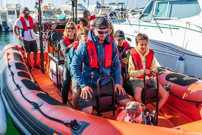 Cascais coast: Dolphin watching - What the Tour Includes and What to Keep in Mind