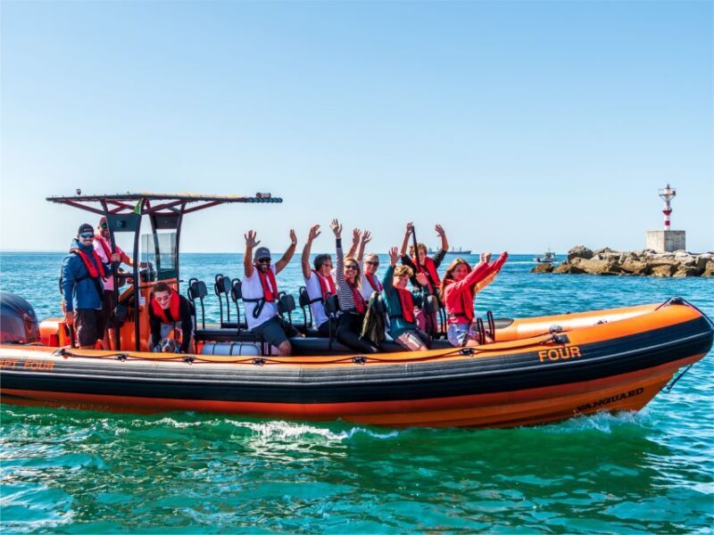 Cascais: Dolphin Watching Tour - FAQ