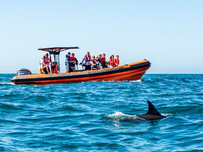 Cascais: Dolphin Watching Tour - FAQ