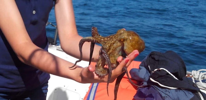 Cascais: Family Fishing - Key Points