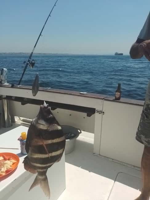 Cascais: Family Fishing - Pricing and Overall Value