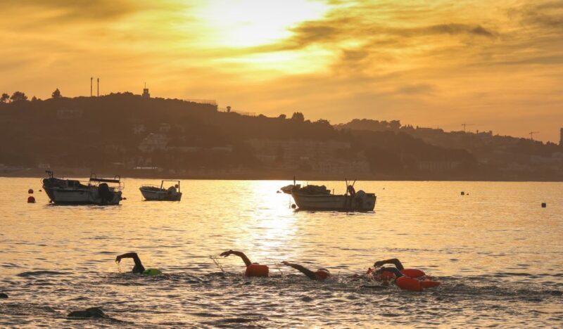 Cascais: Open Water Swimming - Reviews and Real Travelers’ Perspectives