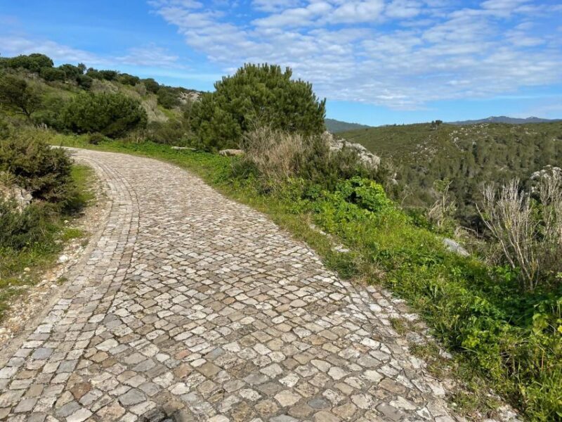 Cascais-Sintra E-bike Tour: Coast & Countryside Adventure - Practical Tips for a Smooth Experience