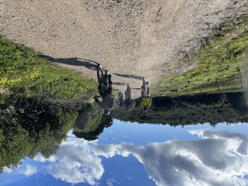 Cascais-Sintra E-bike Tour: Coast & Countryside Adventure - Who Should Consider This Tour?