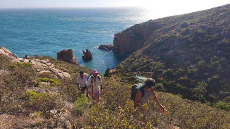Cascais: Wild Coast Hike to a Secluded Swim Spot - The Swim and the Cliff Jump — Highlights of the Experience