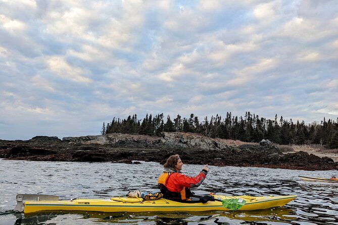 Casco Bay Half-Day Sea Kayak Tour - The Sum Up