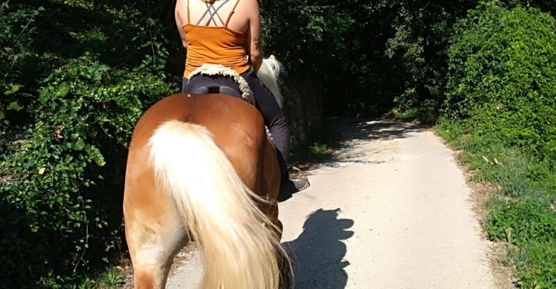 Casentino: Horseback Riding Tour with Verna Sanctuary View - Exploring Tuscany’s Nature on Horseback