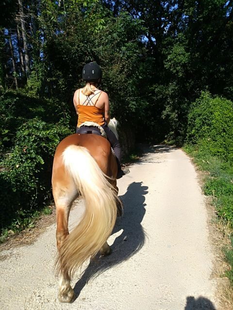 Casentino: Horseback Riding Tour with Verna Sanctuary View - The Itinerary in Detail