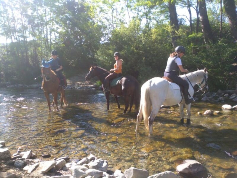 Casentino: Horseback Riding Tour with Verna Sanctuary View - Authenticity and Traveler Feedback