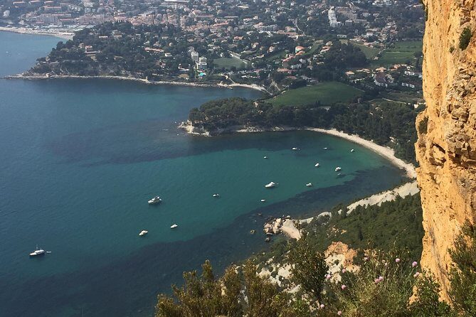 Cassis, Bandol and Le Castellet Wine tour - Authenticity and Traveler Experience