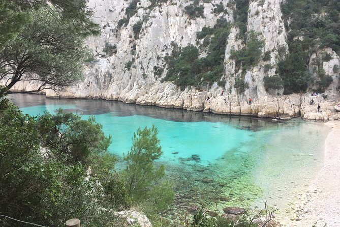 Cassis, Bandol and Le Castellet Wine tour - Final Thoughts: Who Is This Tour Best For?
