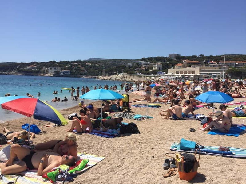 Cassis, Bandol, Le Castellet wine tour: Cliffs and Vineyards - What to Expect: A Typical Day