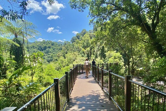 Cassowary Coast Waterfall Culture Tour - Practical Tips for Travelers