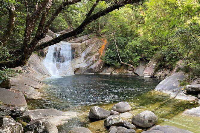 Cassowary Coast Waterfall Culture Tour - Who Would Love This Tour?