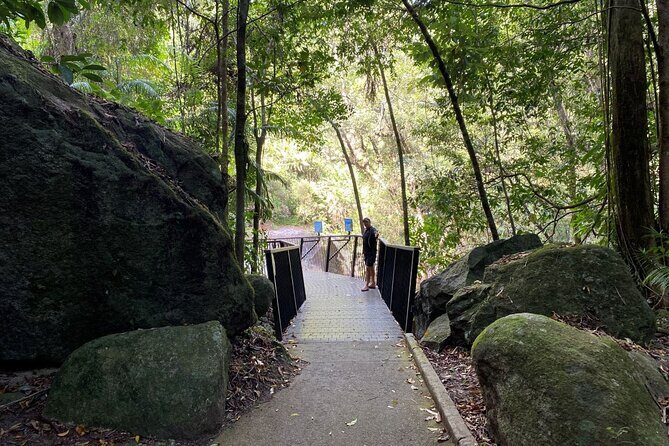 Cassowary Coast Waterfall Culture Tour - Final Thoughts