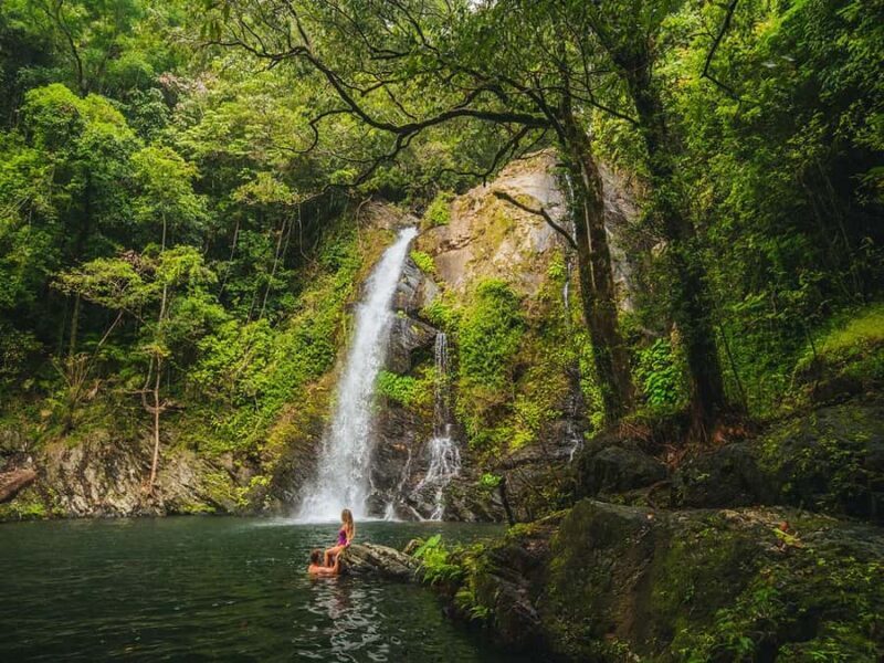 Cassowary Falls Adventure Tour - Daintree Rainforest - An Honest Look at the Cassowary Falls Adventure Tour