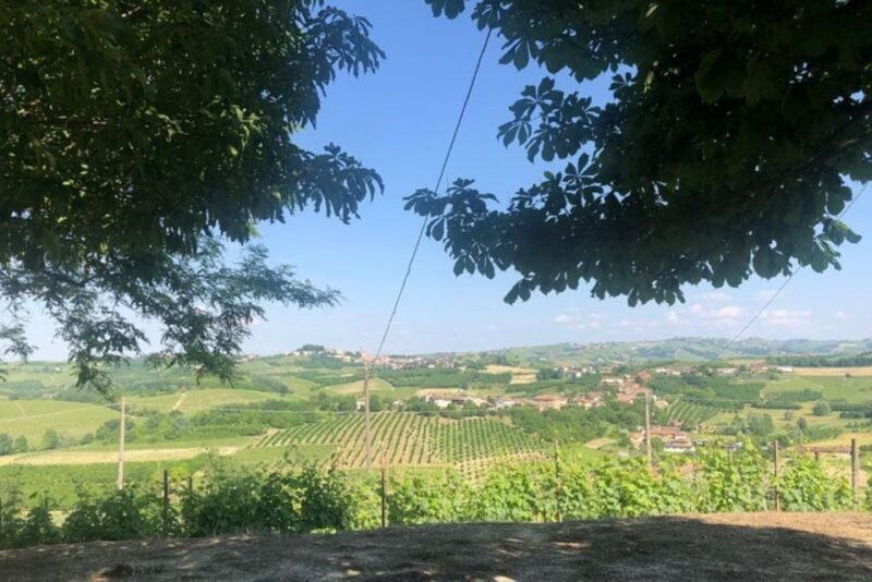 Castagnole delle Lanze: Saffron Walking Tour w/ Wine & Food - How the Experience Adds Value