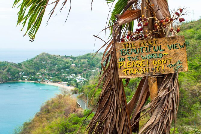 Castara Bay Day Trip with Lunch - Practical Tips for Travelers