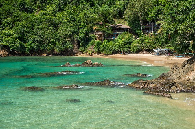 Castara Bay Day Trip with Lunch - Who Will Love This Tour?