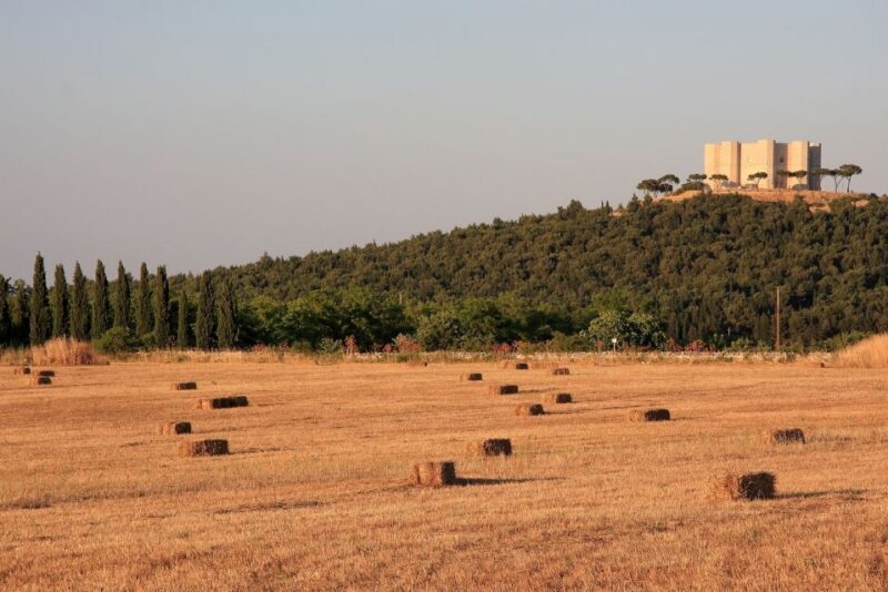 Castel del Monte Tour with transfer from Trani - The Sum Up: Who Will Benefit Most?