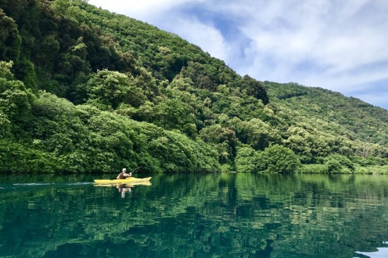 Castel Gandolfo: Kayak Food and Wine Tour - A Look at the Experience
