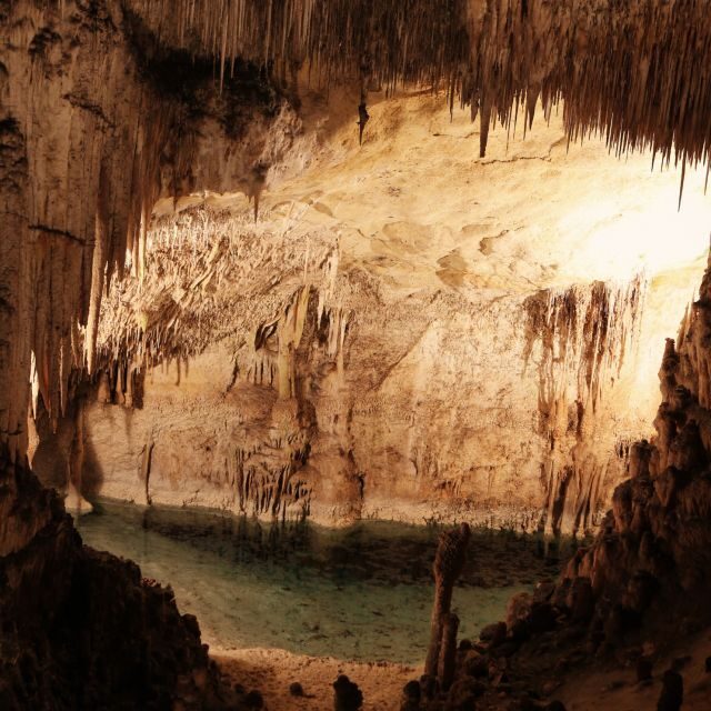 Castelcivita Caves: magic and mystery in a thrilling tour - Key Points