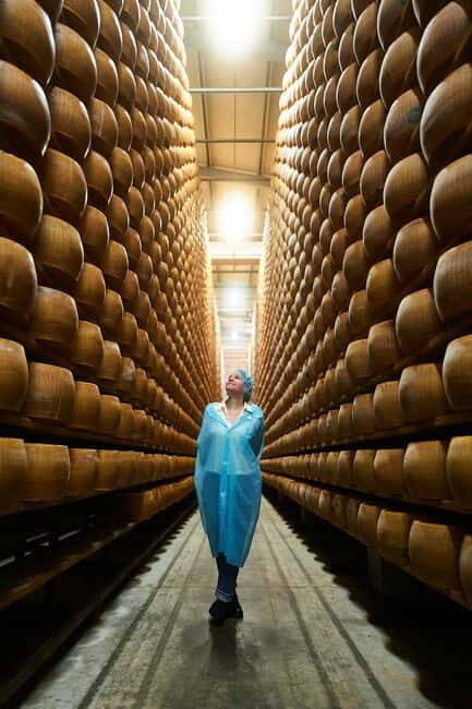 Castelfranco Emilia: Prosciutto, Parmesan and Balsamic Tour - An Overview of the Experience