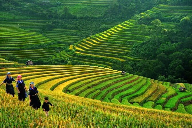 Castella Cruises 2 Days Explore Halong Bay from Hanoi - Who Should Consider This Tour?